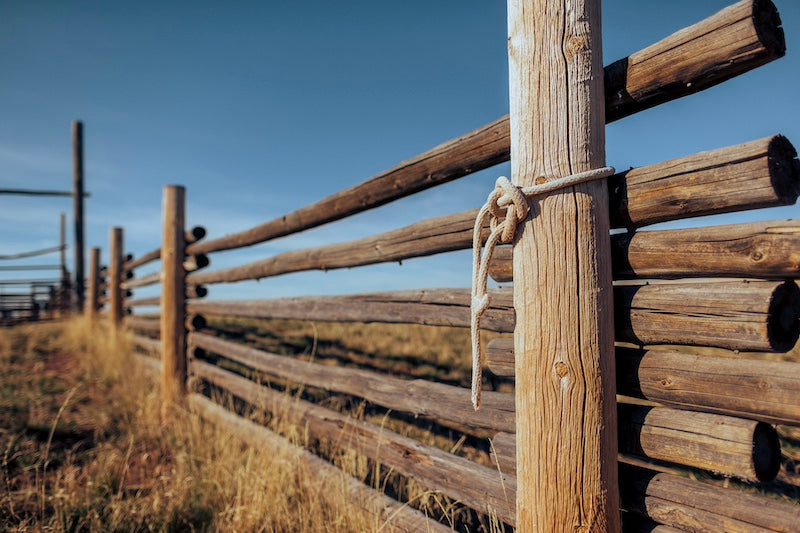 Riding Fences: The Art of Maintaining Ranch Boundaries